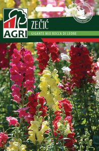 ZEČIĆ – GIGANTE MIX BOCCA DI LEONE – Agri vrt