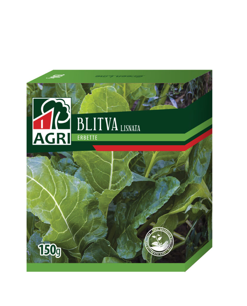 BLITVA LISNATA ERBETTE 150GR – Agri vrt